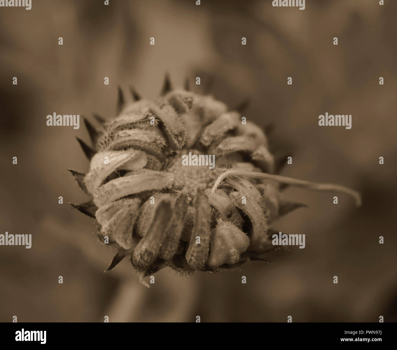 Athens botanic garden hi-res stock photography and images - Alamy