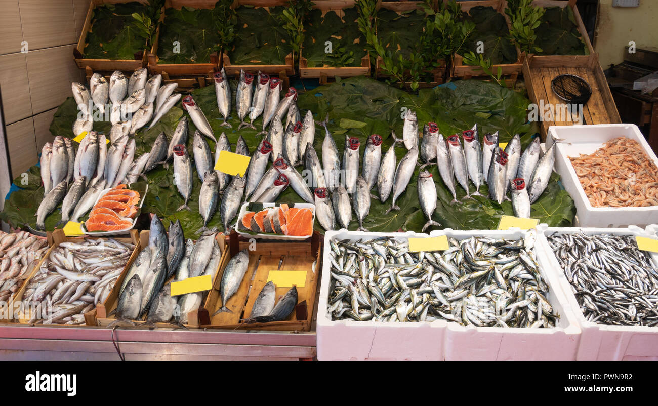 fish market counter with fresh catch various type of seafood clear ...