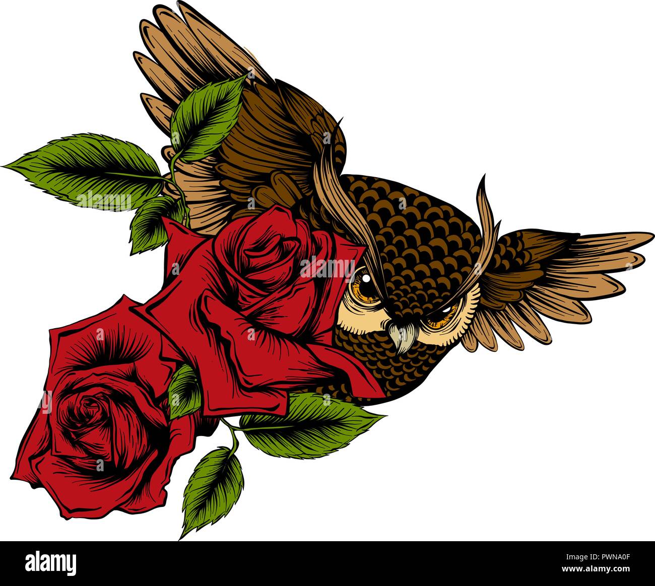 Vector illustration with hand drawn ornate owl with rose flowers Stock ...