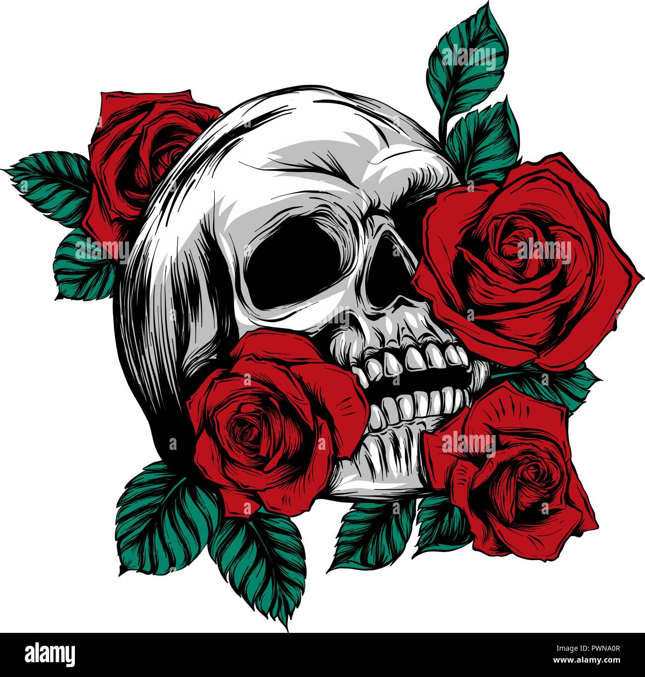 A human skulls with roses on white background Stock Vector Image & Art ...