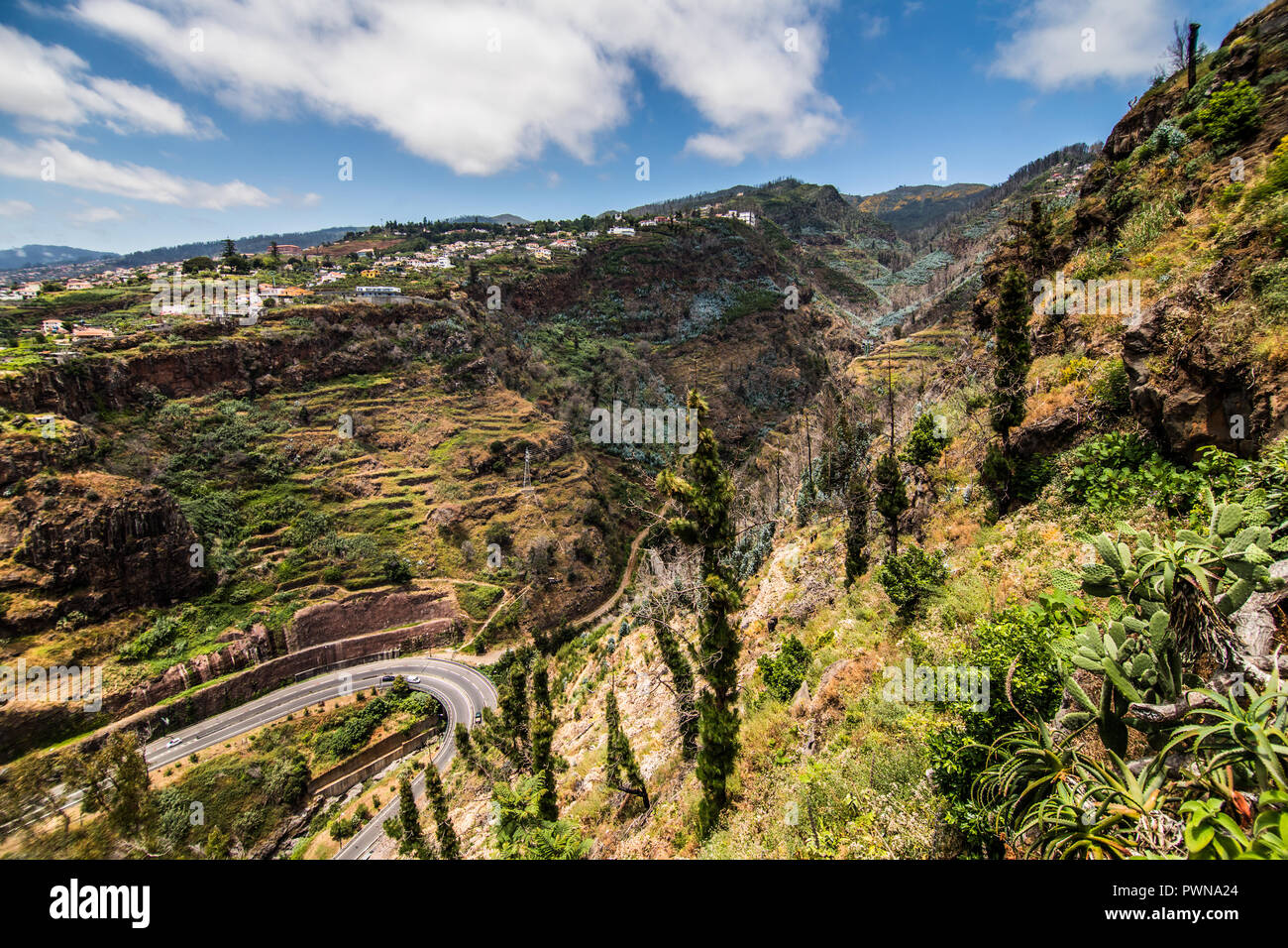 Madeira island typical landscape, Funchal city panorama view from ...