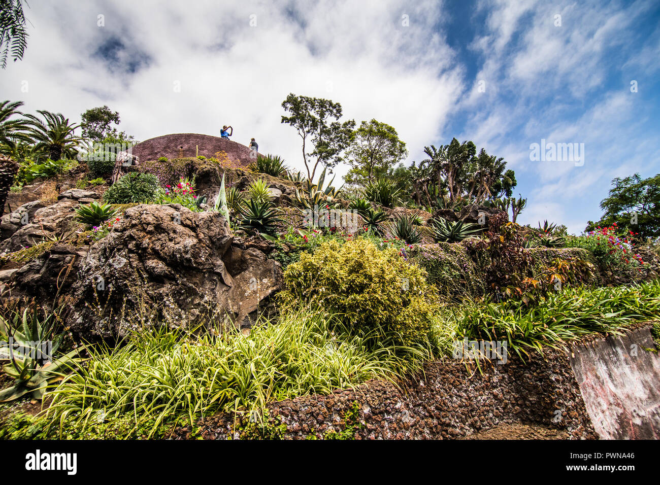 Madeira island typical landscape, Funchal city panorama view from ...