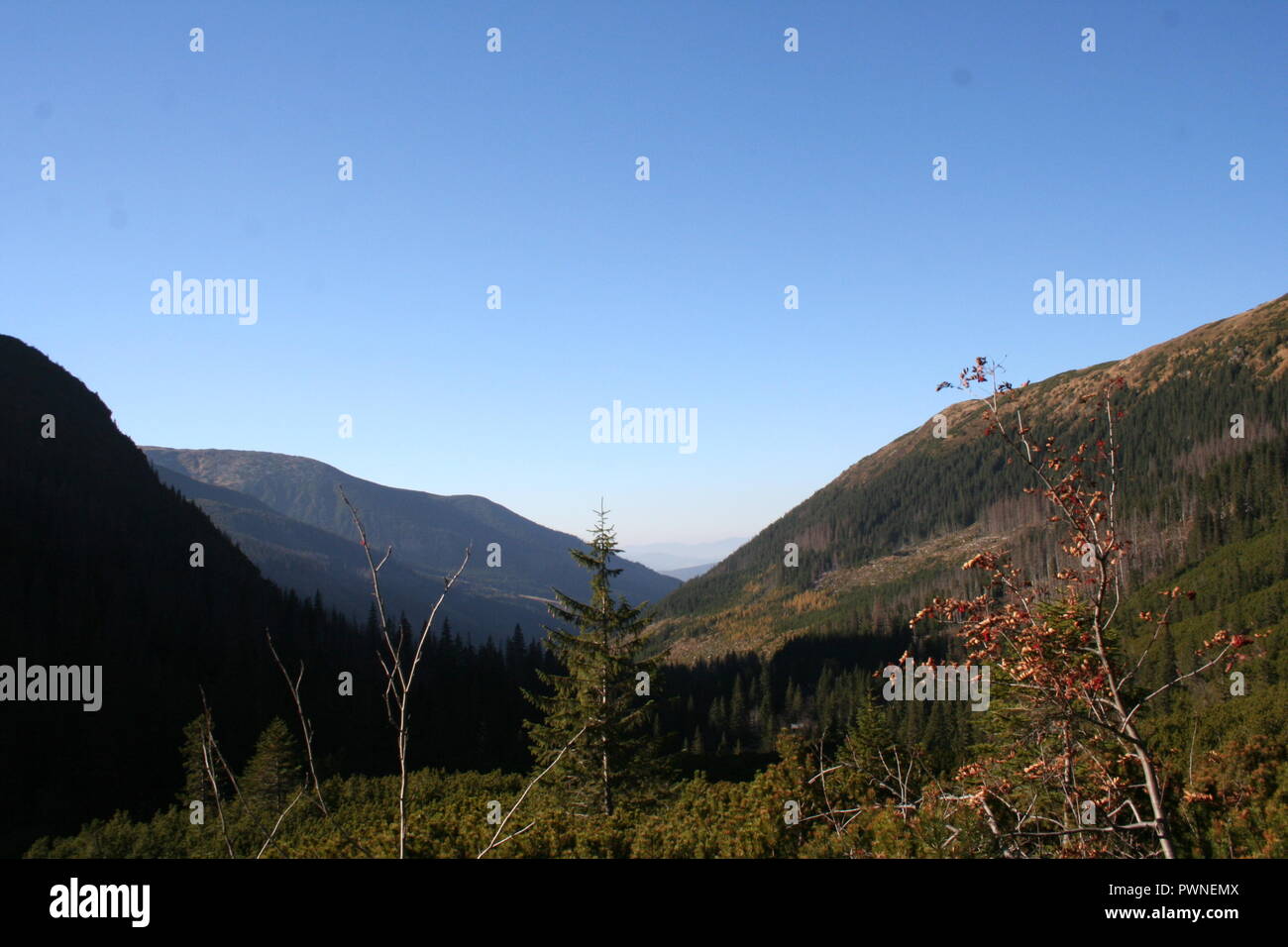 Slovakia poland tatras border hi-res stock photography and images - Alamy