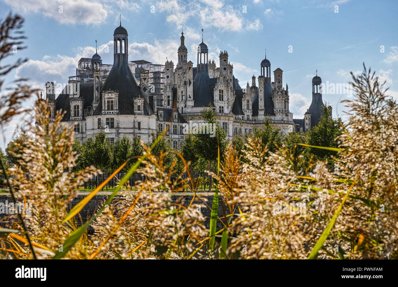 Chateau de Chambord backlighted from grass, the largest royal ...