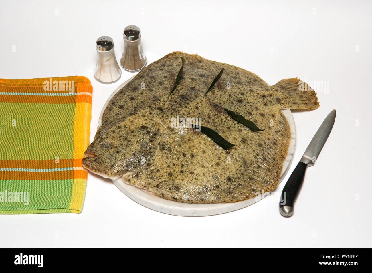 Turbot sea hi-res stock photography and images - Alamy