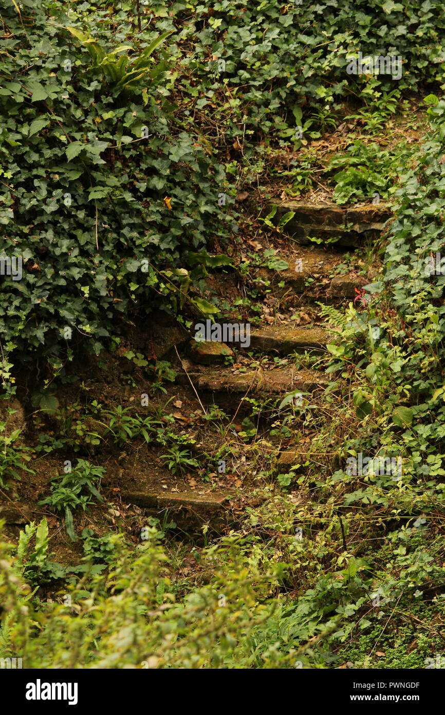 Forgotten pathway hi-res stock photography and images - Alamy