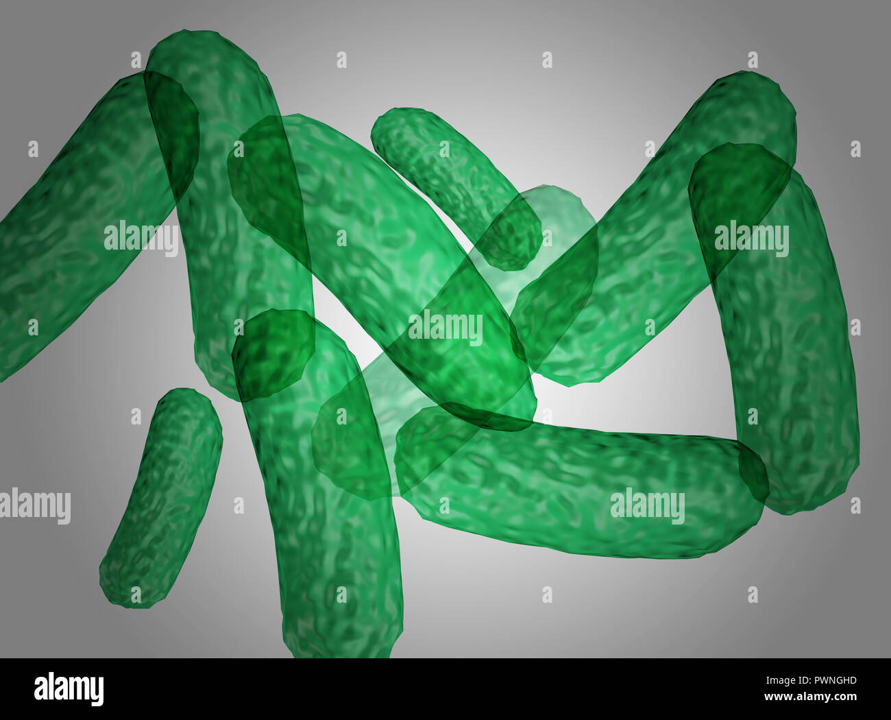 Bacteria cells close up hi-res stock photography and images - Alamy