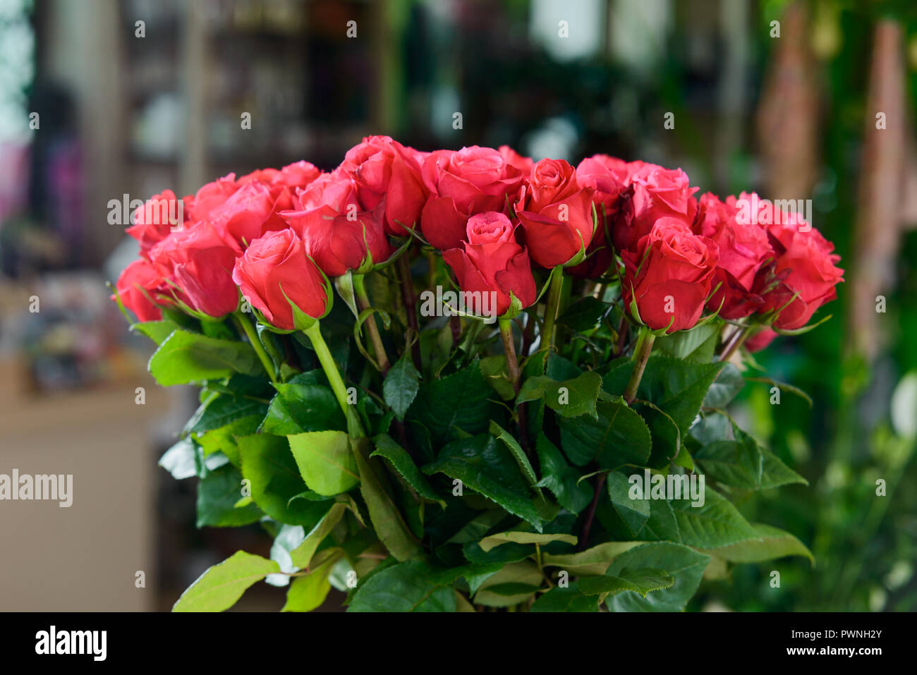 A bunch of red roses Stock Photo - Alamy