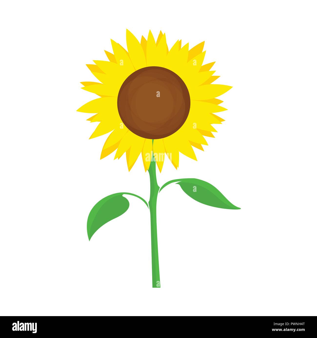 Sunflower - Symbol of Farm Harvest. Vector Flower illustration isolated ...