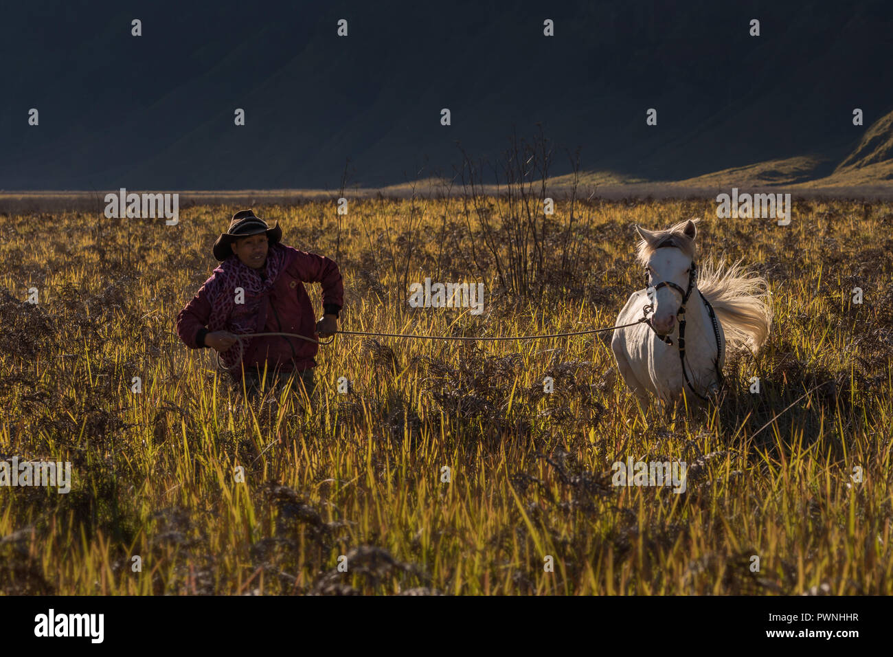 Taming tribe hi-res stock photography and images - Alamy