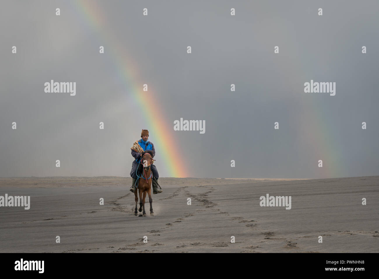 Horse rider from the Tengger tribe racing home with his horse on the ...