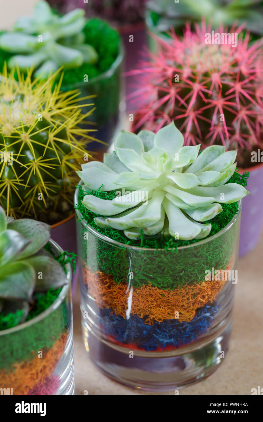 Mini salón hi-res stock photography and images - Alamy