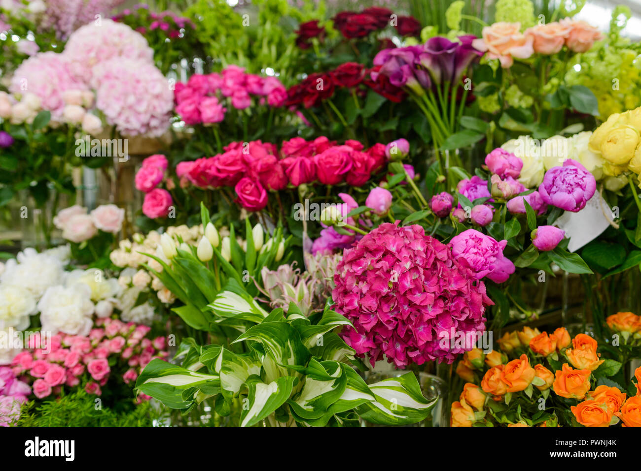 Big assortment hi-res stock photography and images - Alamy