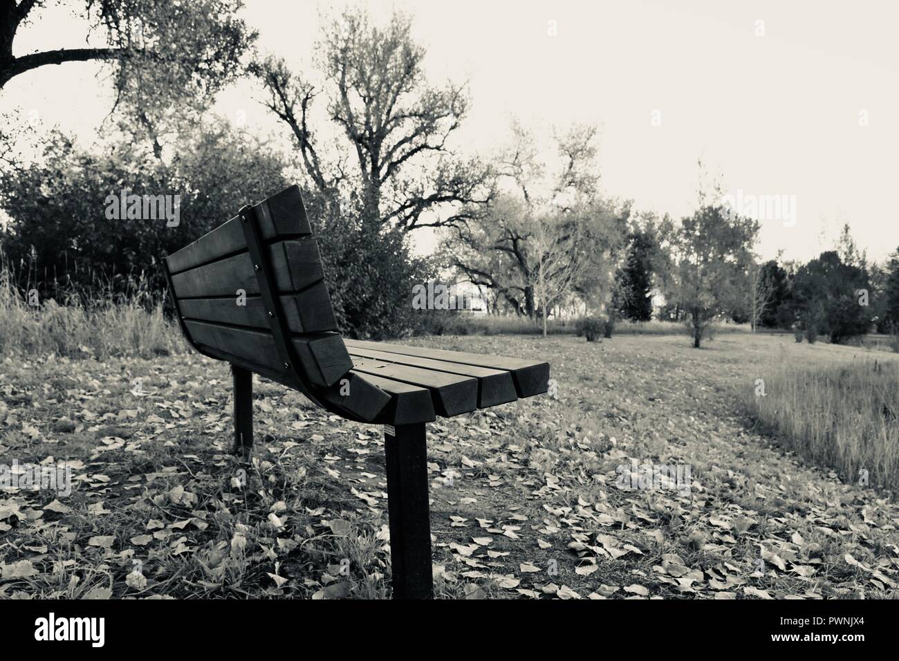 Finding a bench to sit on hi-res stock photography and images - Alamy