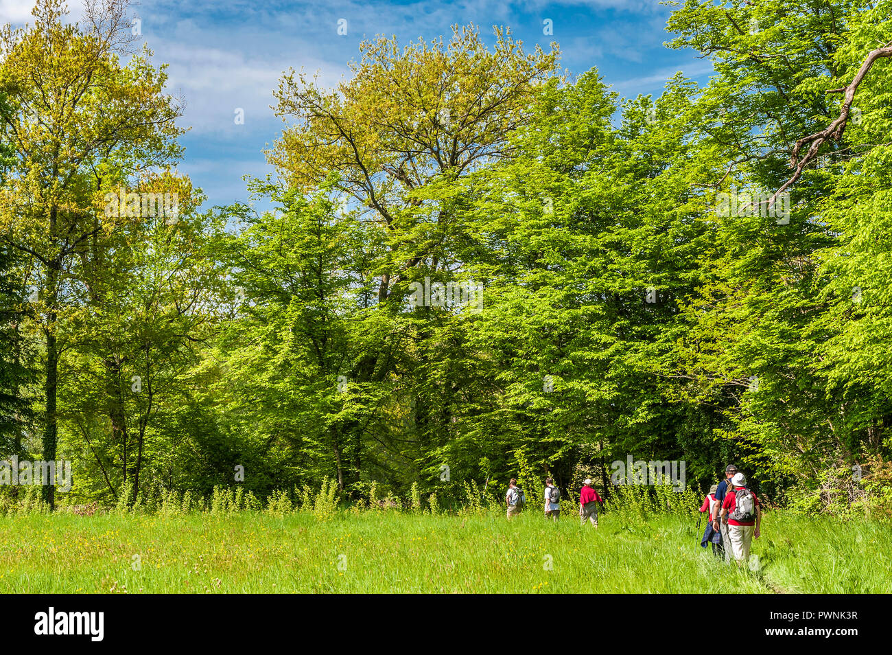 Creon hi-res stock photography and images - Alamy