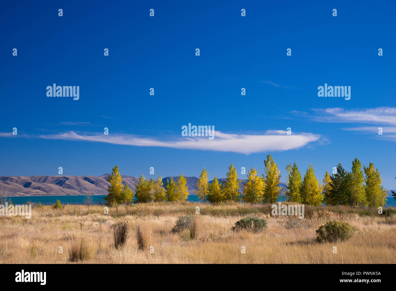 USA, Utah, Rich County, Idaho, Bear Lake County, Bear Lake Stock Photo ...