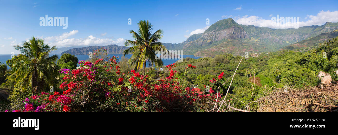 Hiva Oa, French Polynesia High Resolution Stock Photography and Images ...