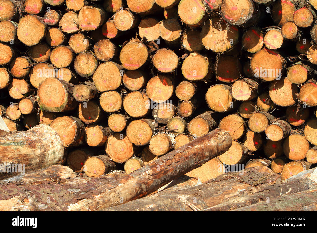 Lumbering Stock Photos & Lumbering Stock Images - Alamy