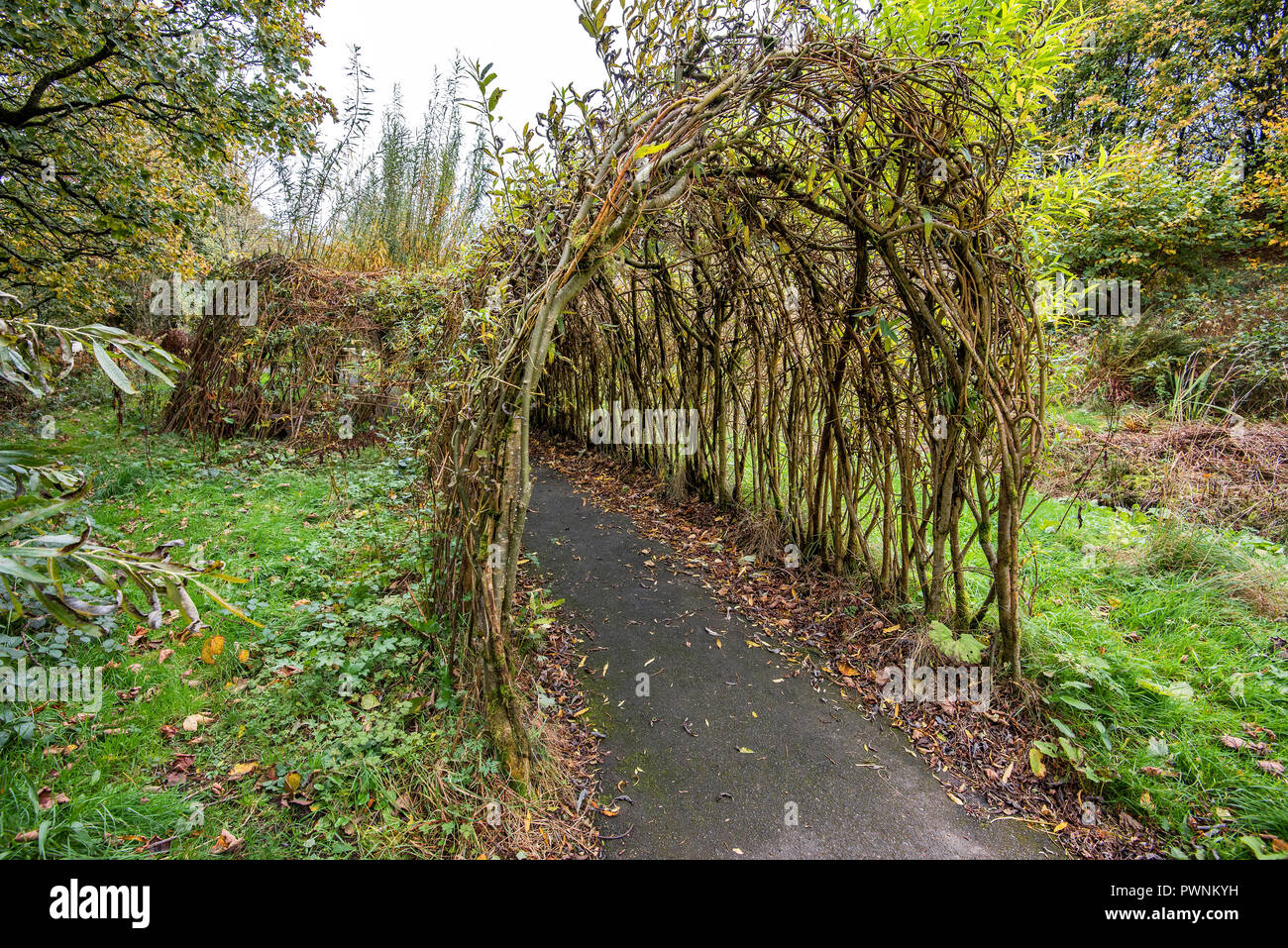 Willow arch hi-res stock photography and images - Alamy