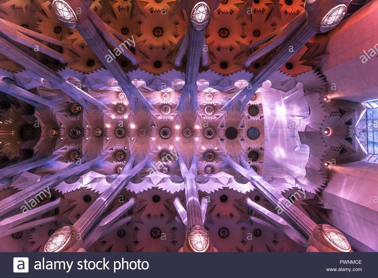 Mothership Stock Photos & Mothership Stock Images - Alamy