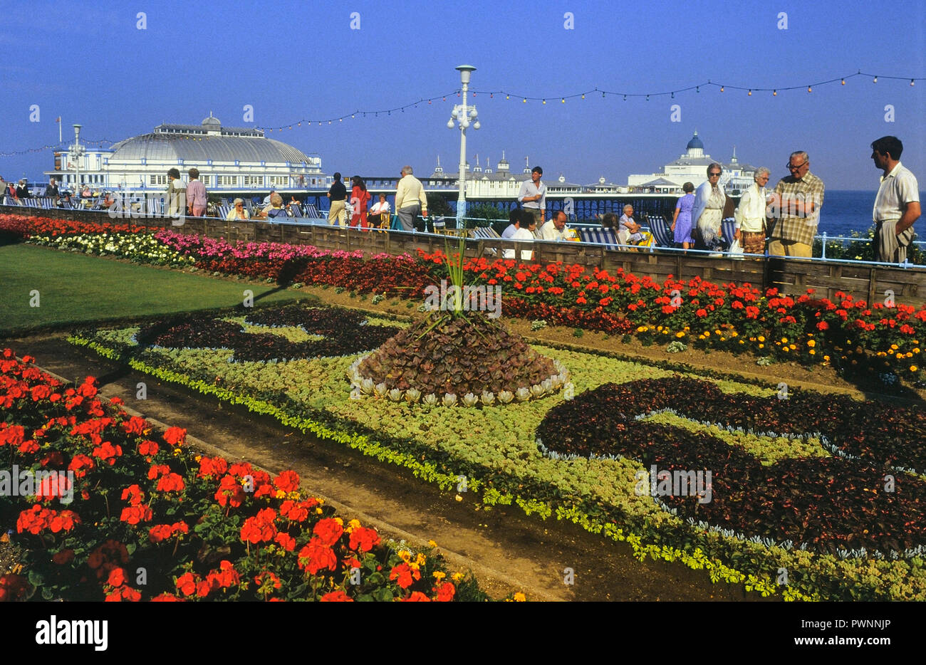 Victorian carpet bedding hi-res stock photography and images - Alamy