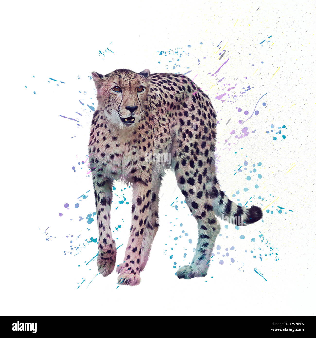 Cheetah. Digital watercolor painting on white background Stock Photo ...