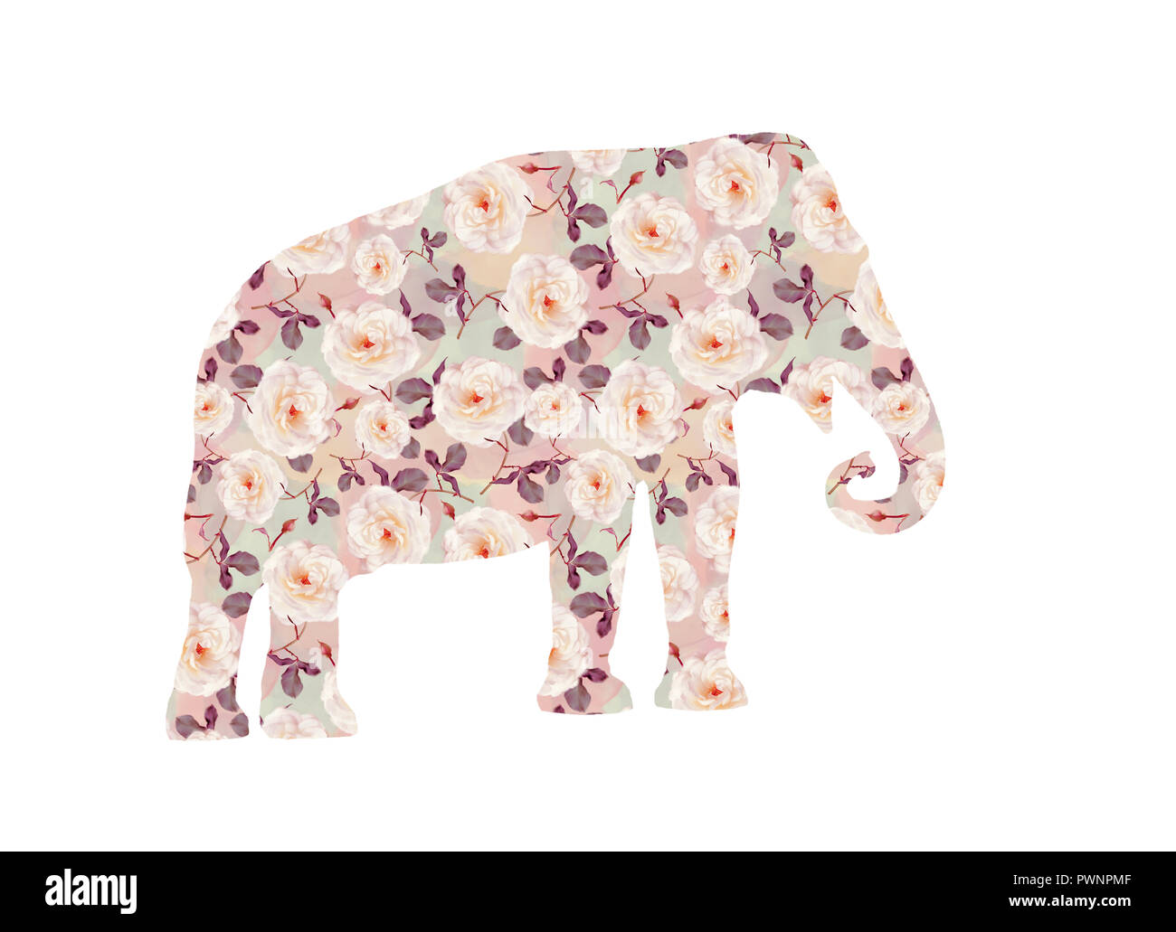elephant with rose pattern isolated on white background Stock Photo - Alamy