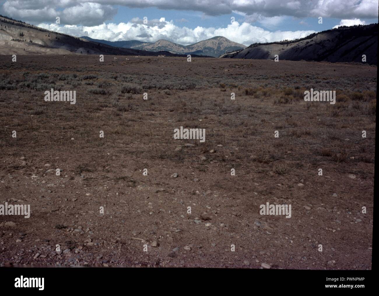 Vintage, authentic archival photograph, 1965 Stock Photo - Alamy