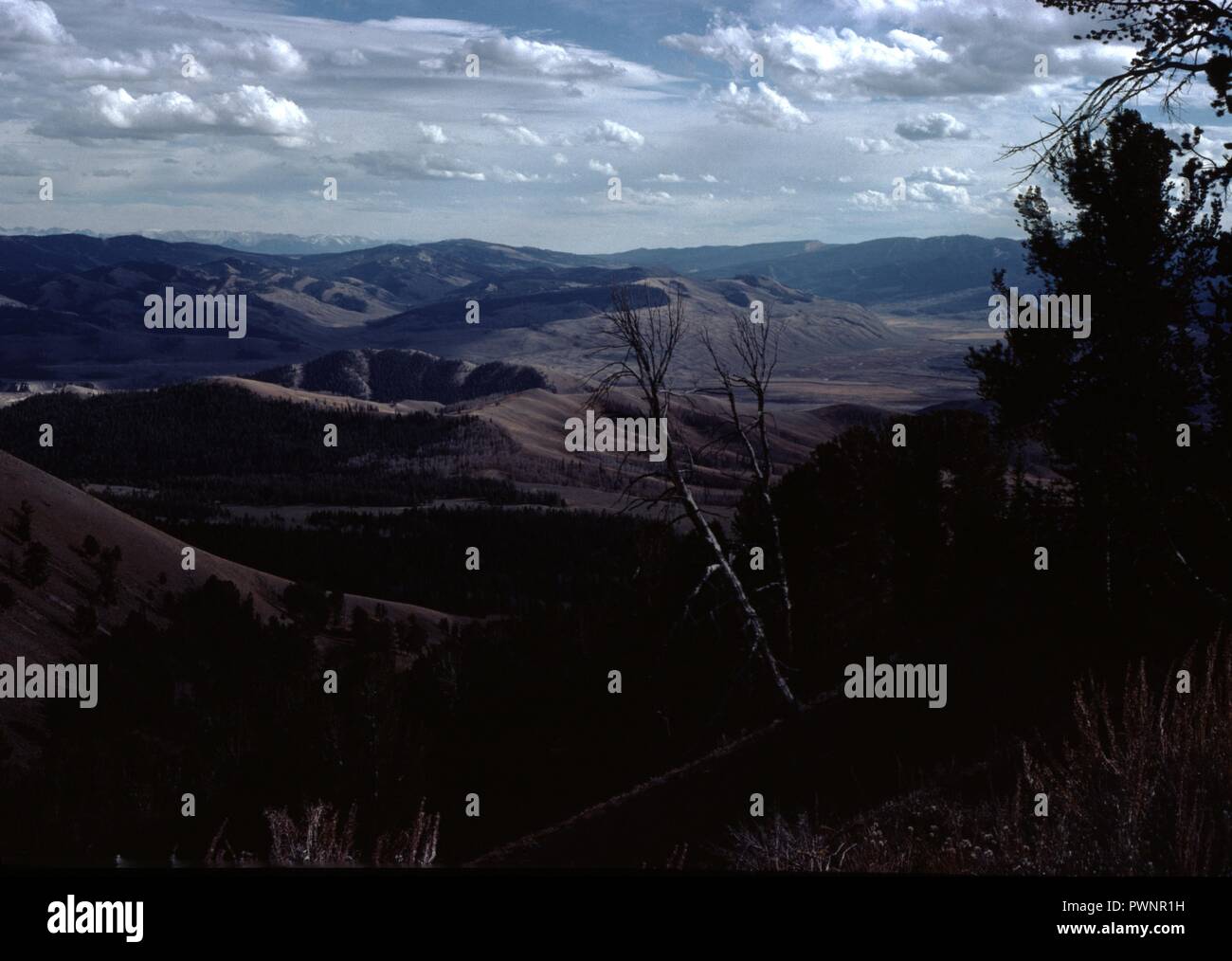 Vintage, authentic archival photograph, 1965 Stock Photo - Alamy