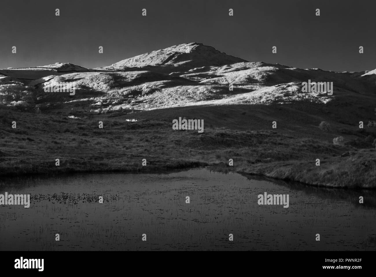 Kelly hall tarn, lower lake district cumbria Stock Photo - Alamy