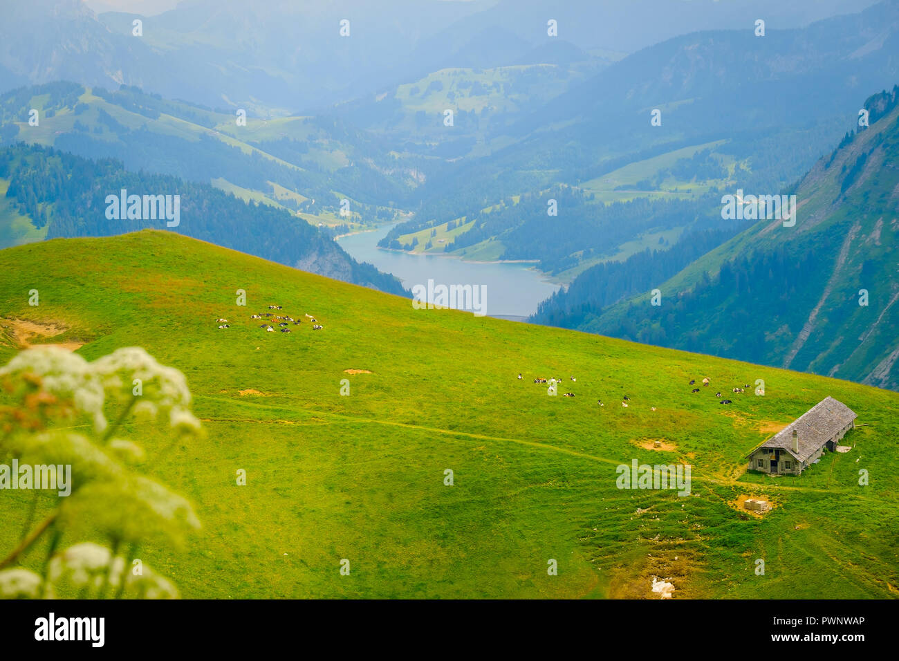 Typical summer mountains Switzerland landscape at sunny day time Stock ...