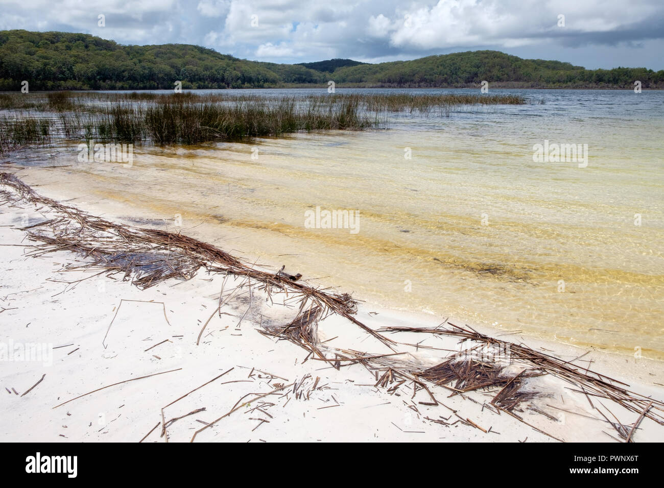 Lake Birrabeen - Fraser Island Stock Photo - Alamy