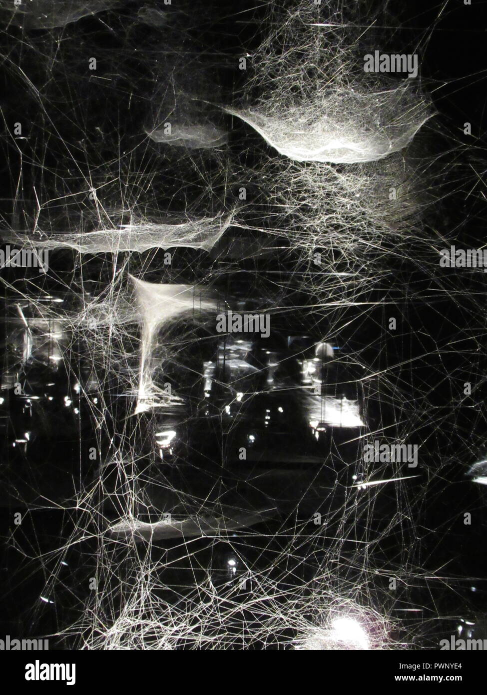 Paris, France. 16th Oct, 2018. Filigree spider webs by Tomas Saraceno ...