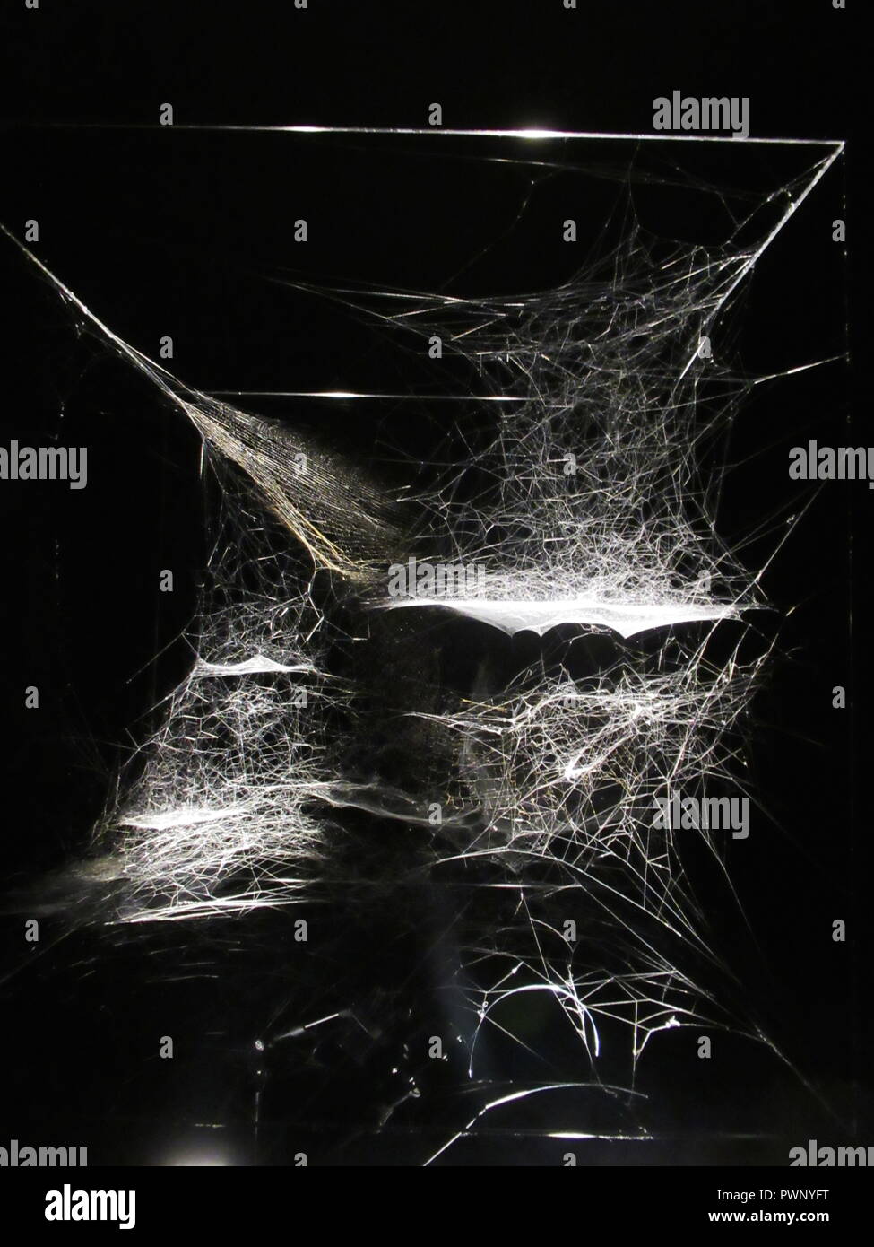 Paris, France. 16th Oct, 2018. Filigree spider webs by Tomas Saraceno ...