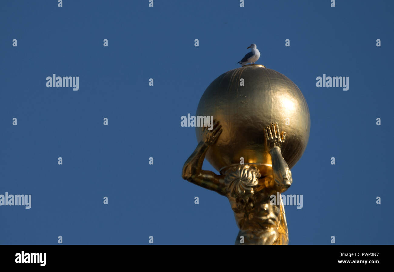 Potsdam, Brandenburg. 17th Oct, 2018. A seagull suns itself on the ...