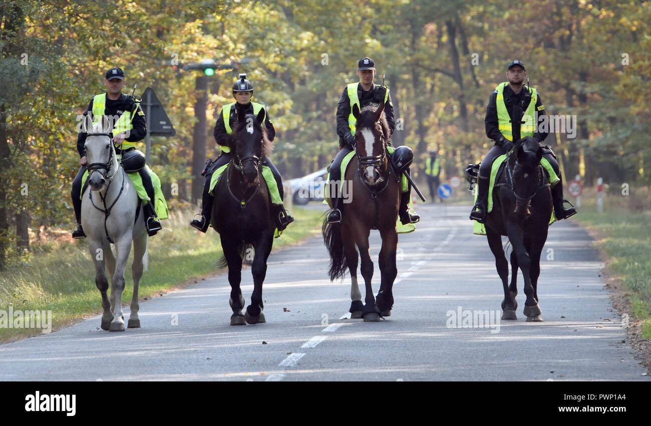 Mecklenburg-Western Pomerania, Hintersee, Germany. 17th Oct, 2018 ...