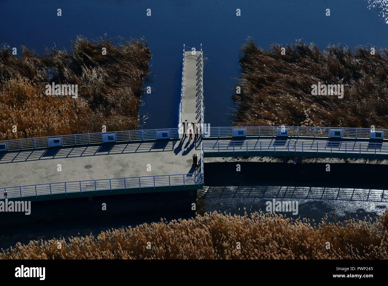 China wetland reserve daqing hi-res stock photography and images - Alamy