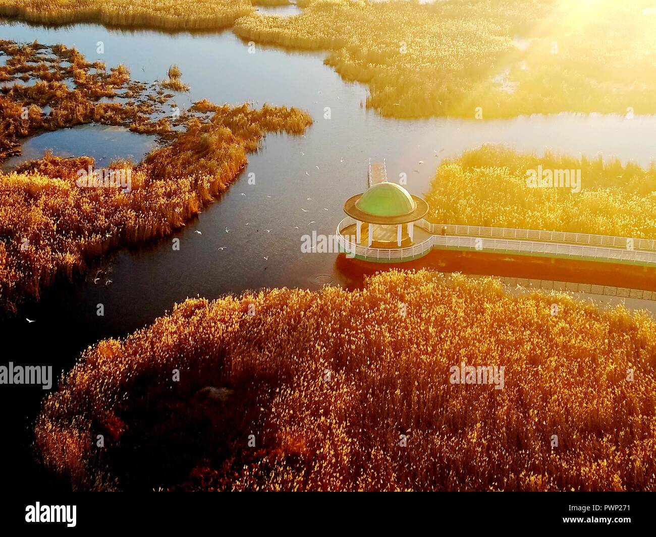 Daqing, Daqing, China. 17th Oct, 2018. Daqing, CHINA-Aerial photograohy ...