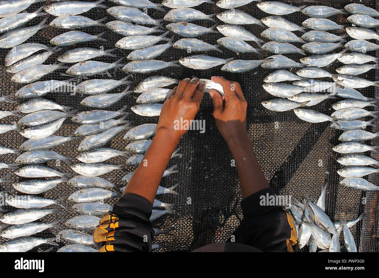 181017 hi-res stock photography and images - Alamy