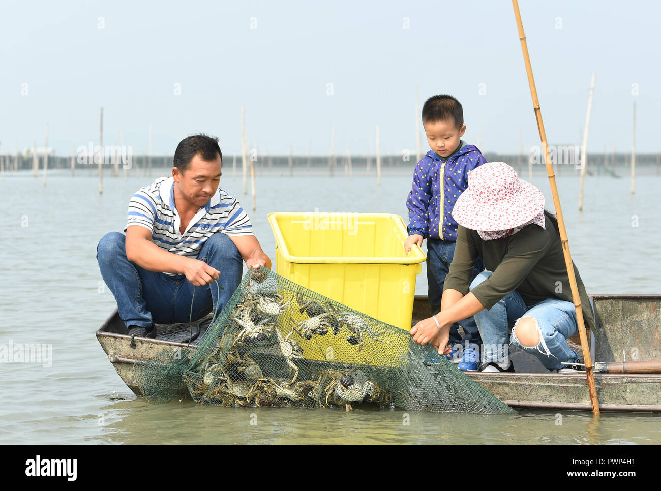Work of farmers and breeders hi-res stock photography and images - Alamy