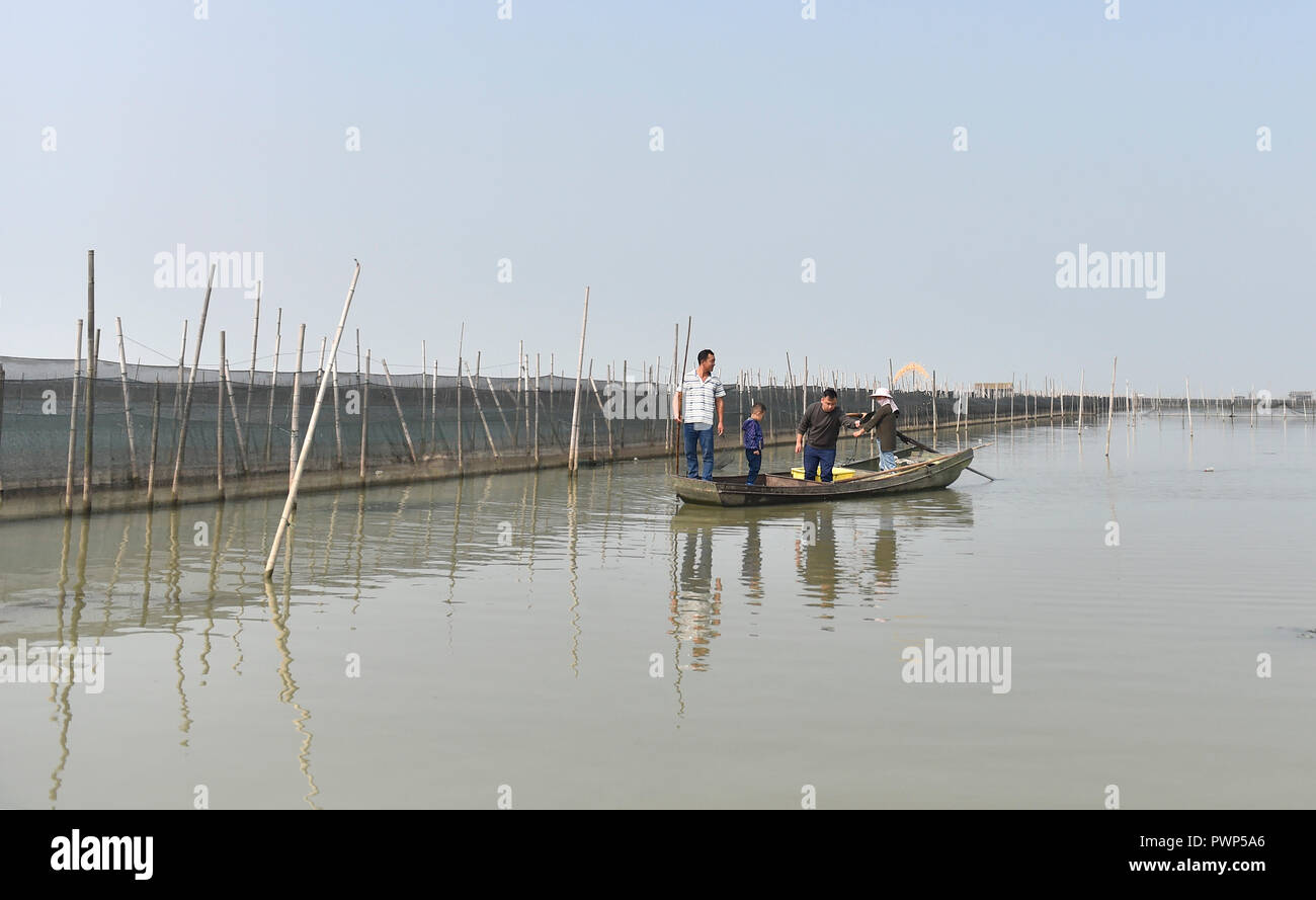 Huzhou. 17th Oct, 2018. Crab breeders harvest crabs in an aquatic farm ...