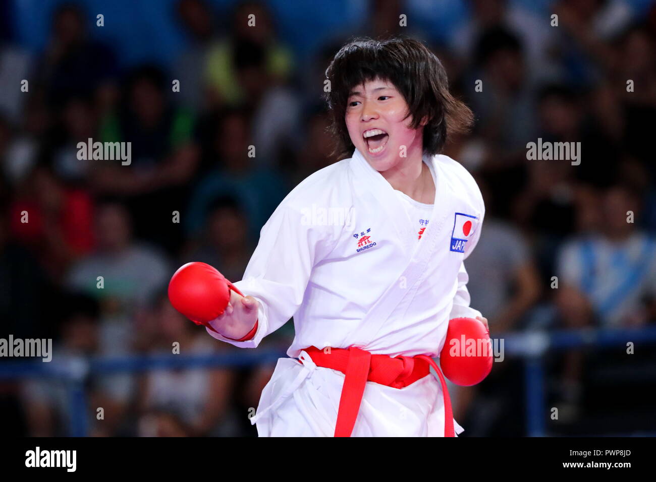 Buenos Aires, Argentina. 17th Oct, 2018. Kokoro Sakazi (JPN) Karate ...