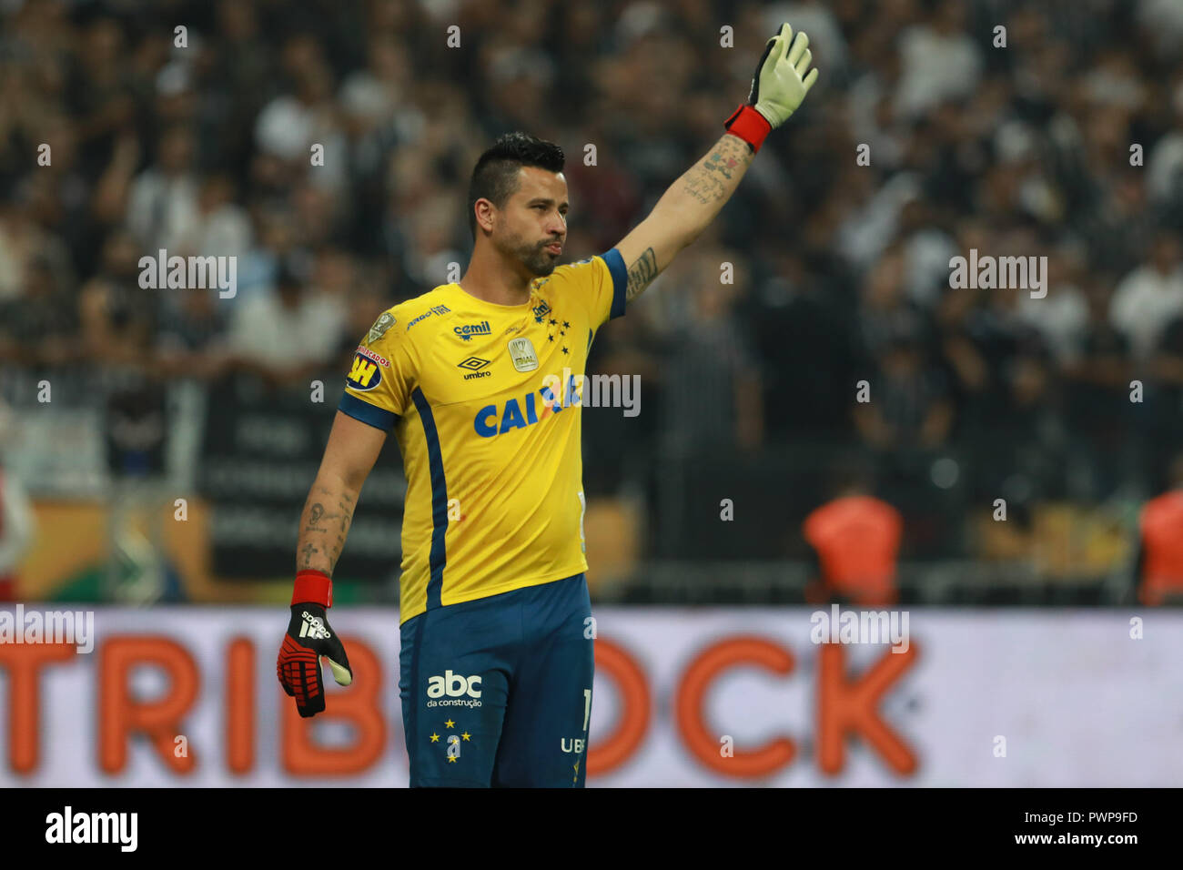 Sao Paulo, Brazil. 17th October, 2018. Corinthians v Cruzeiro. Fábio ...