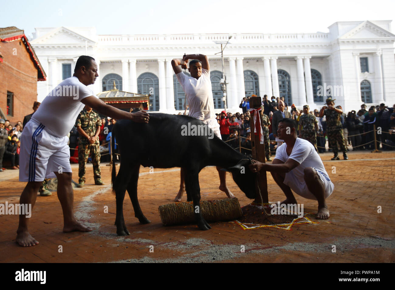 Kathmandu, Nepal. 18th Oct, 2018. Nepalese Army sacrifices a buffalo as ...