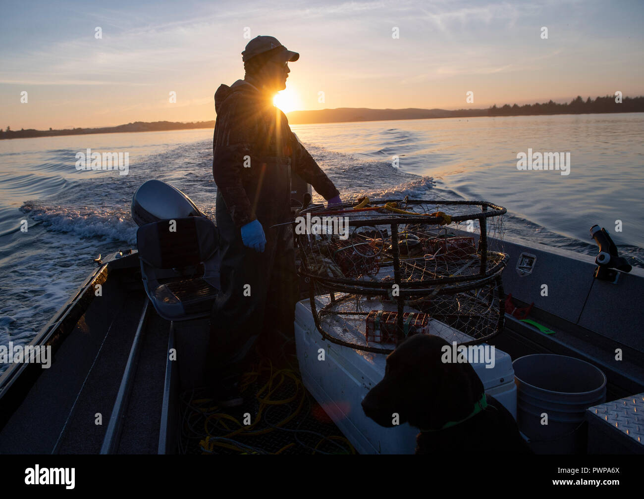 Seafood watch guide hi-res stock photography and images - Alamy