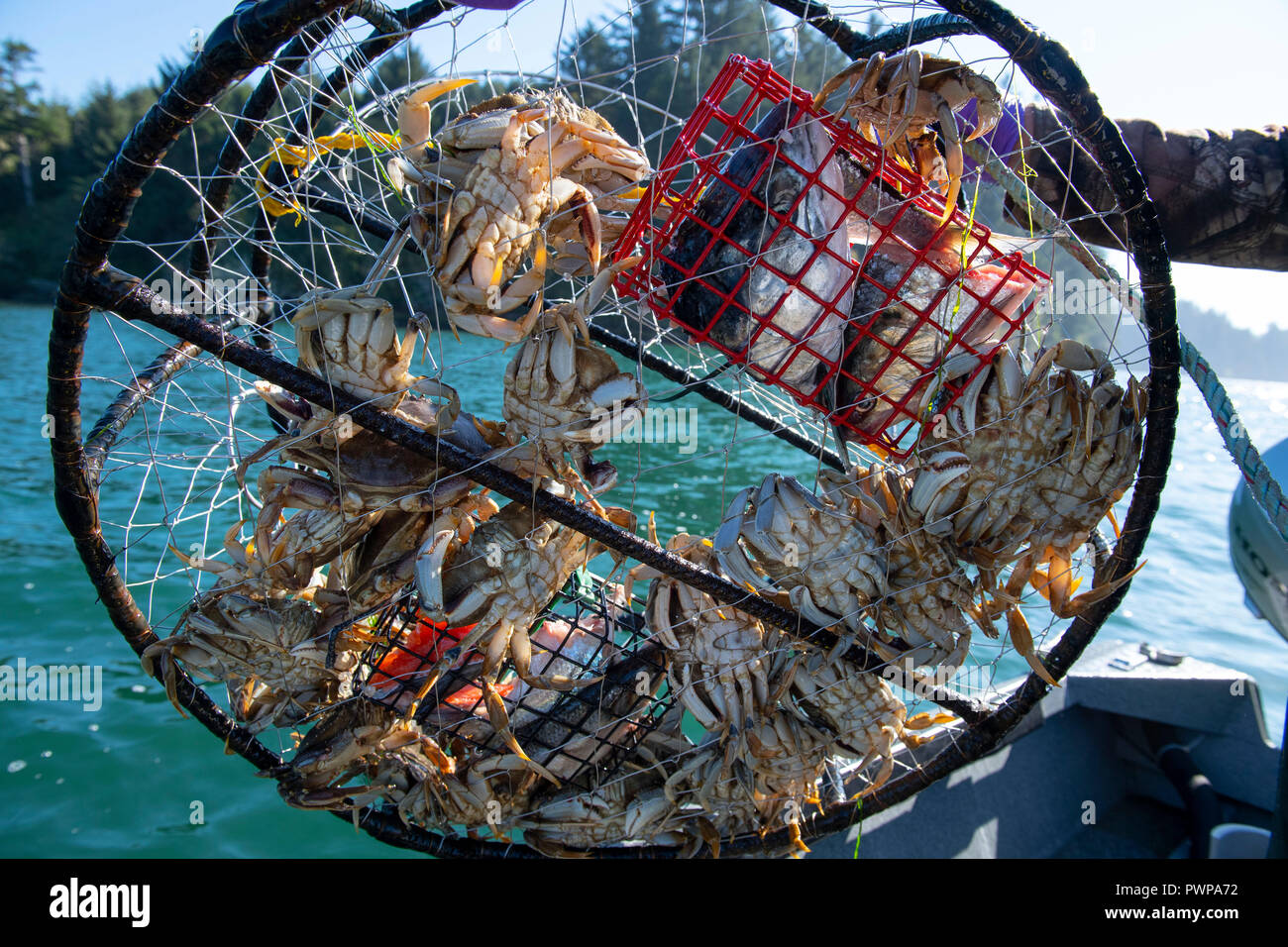 4668 hi-res stock photography and images - Alamy