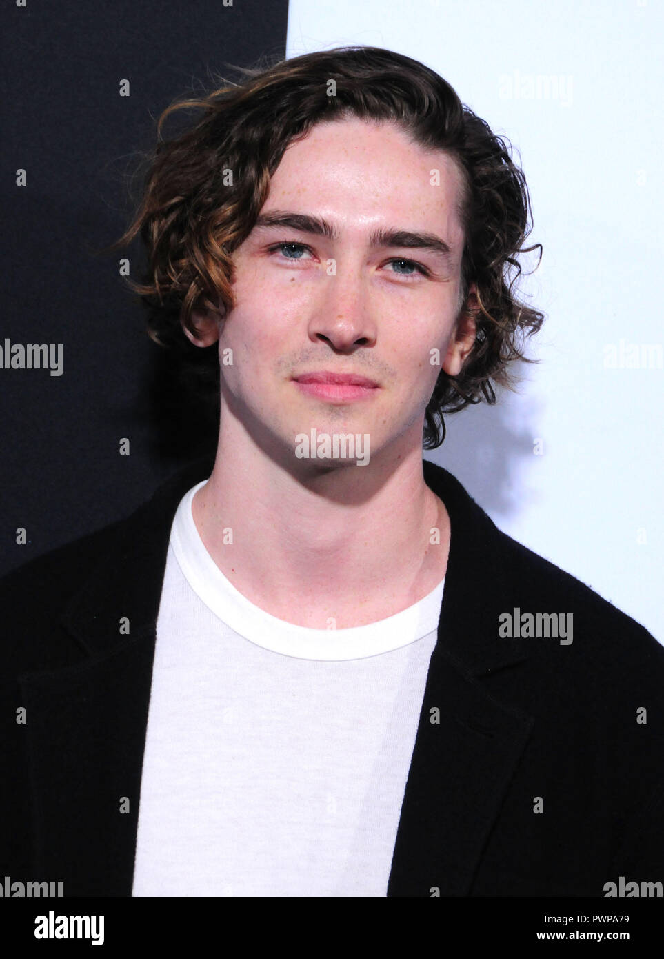 Hollywood, California, USA. 17th October, 2018. Actor Dylan Arnold ...