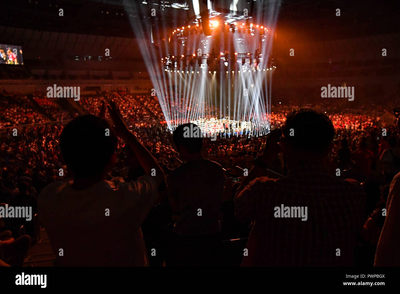 Kanagawa, Japan. 7th Oct, 2018. General view Boxing : Fans give a ...
