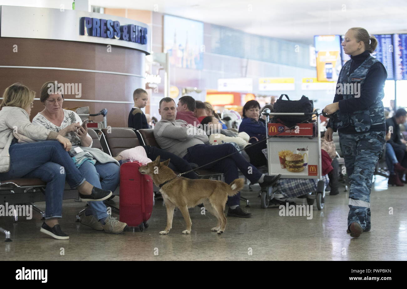 Sulimov Dog High Resolution Stock Photography and Images - Alamy