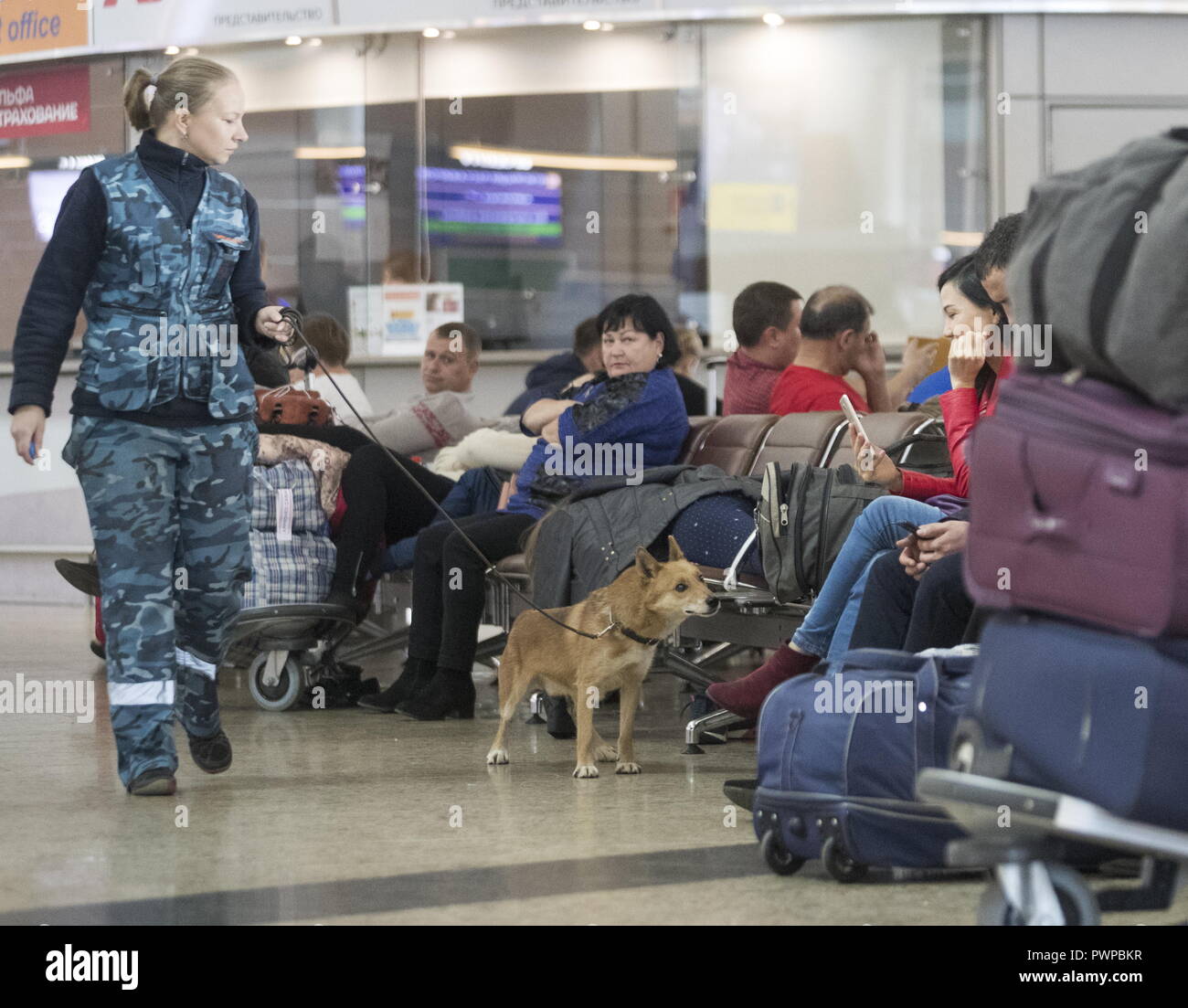 Sulimov Dog High Resolution Stock Photography and Images - Alamy